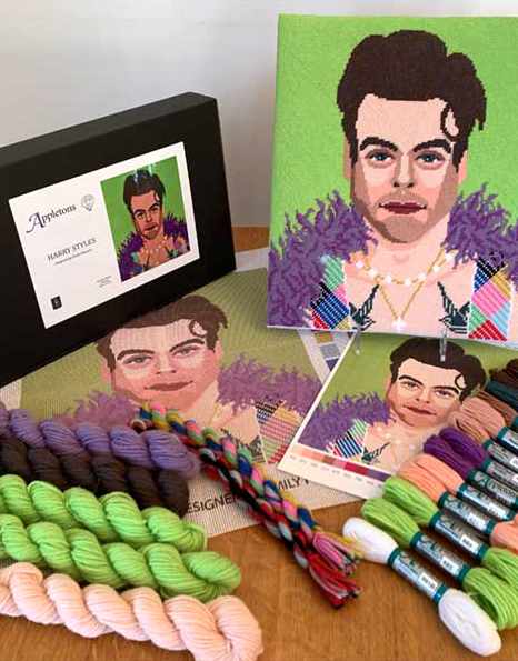 Harry Styles Needlepoint Printed Canvas Kit, Emily Peacock – Clothkits