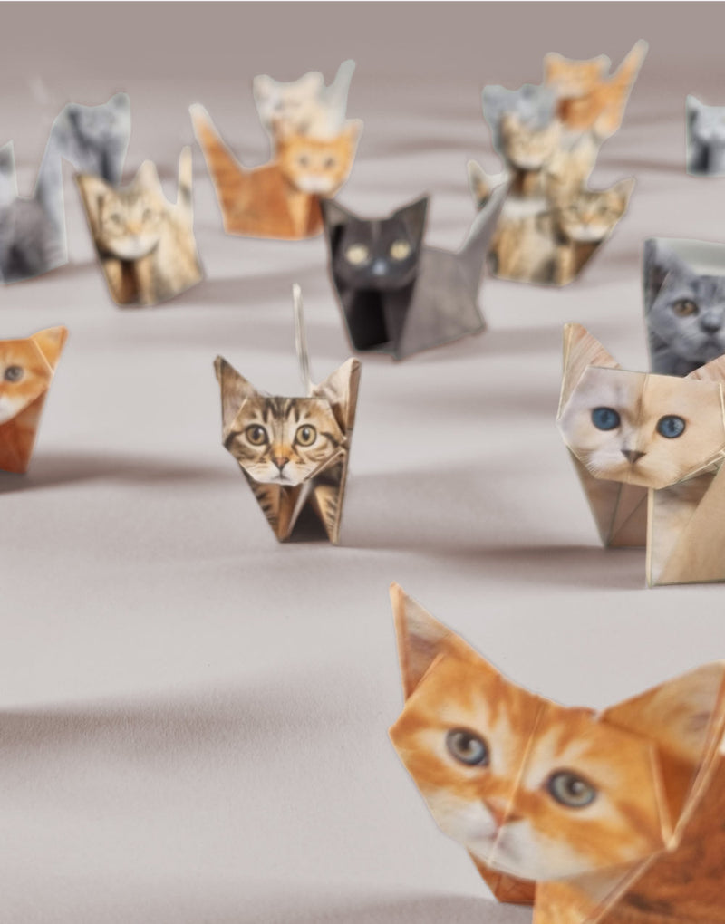 Paper Cats | Fold Your Own Paper Cats, Pikkii – Clothkits