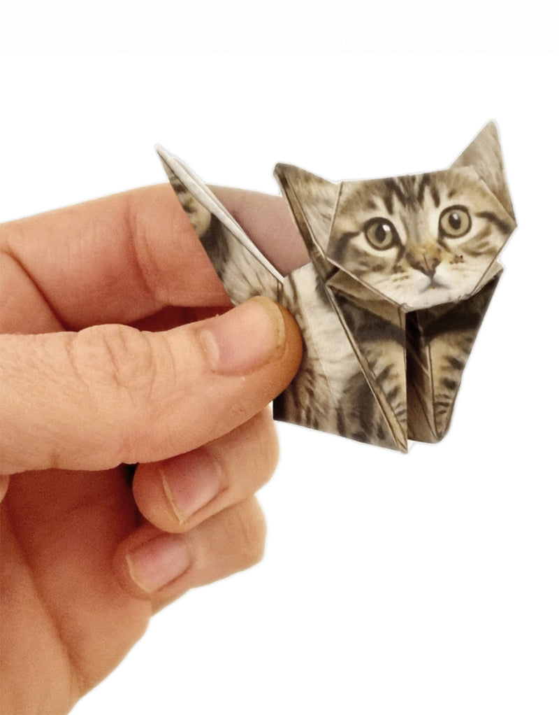 Paper Cats | Fold Your Own Paper Cats, Pikkii – Clothkits