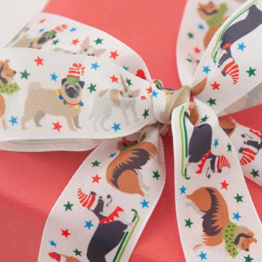 Clothkits Sewing & Haberdashery Shop Chichester West Sussex