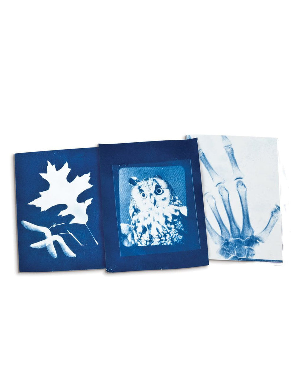 Sunography Paper – Clothkits